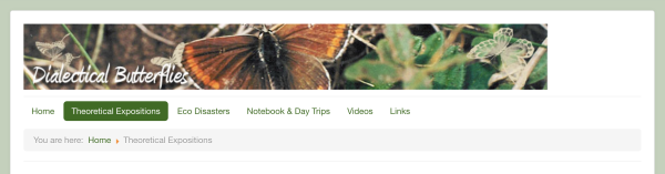 Theoretical Expositions | libcom.org